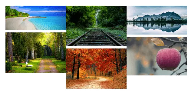 How To Add Masonry Grid Layout In Wordpress Artisans Web 0388