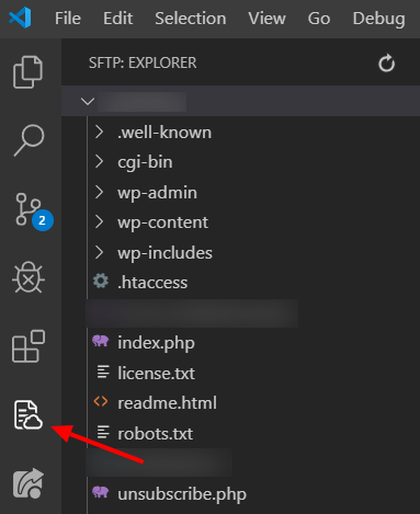 Ftp Sftp Extension For Visual Studio Code Artisans Web